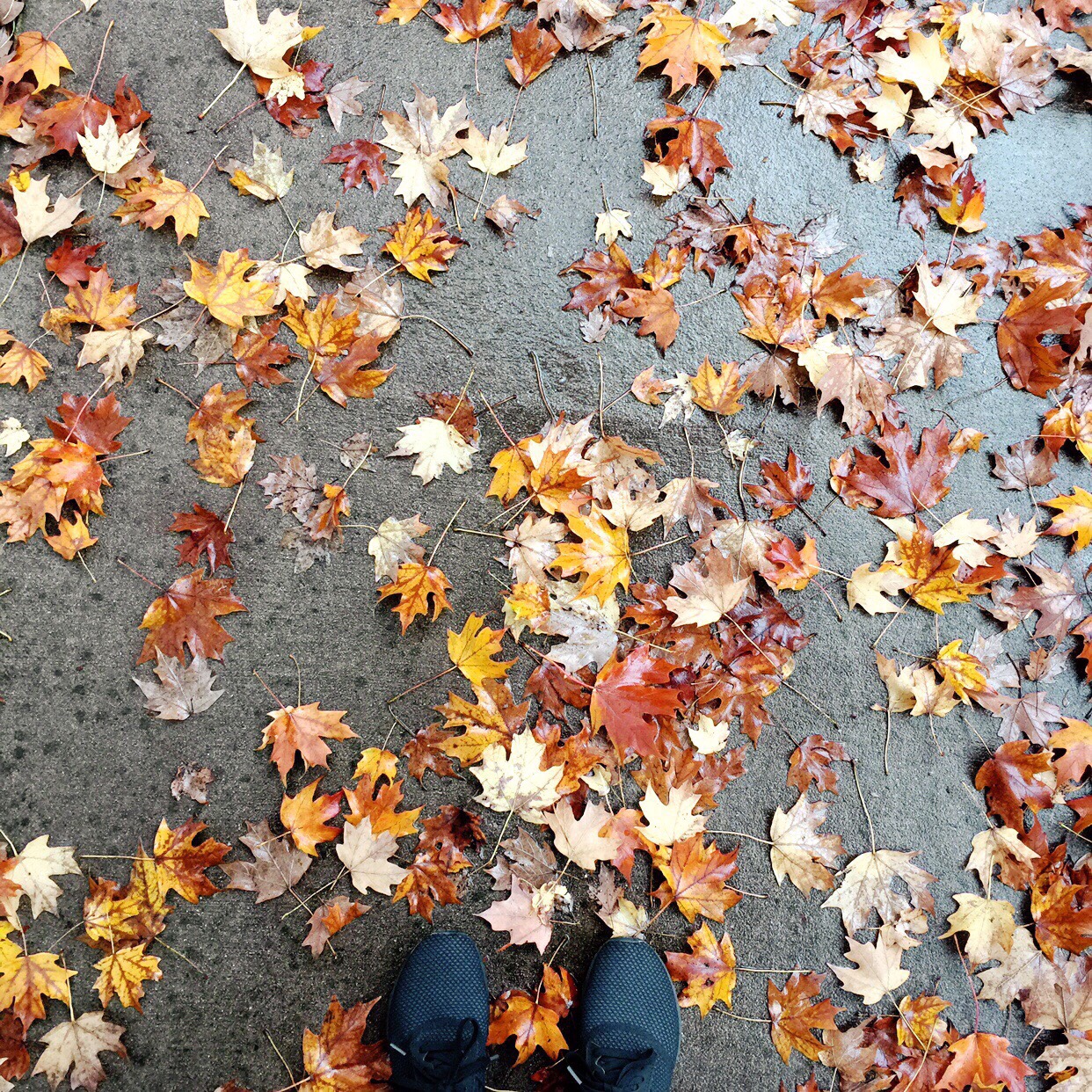 Prophesying (And What the Bible Actually Says about Prophecy) – Esther Guy